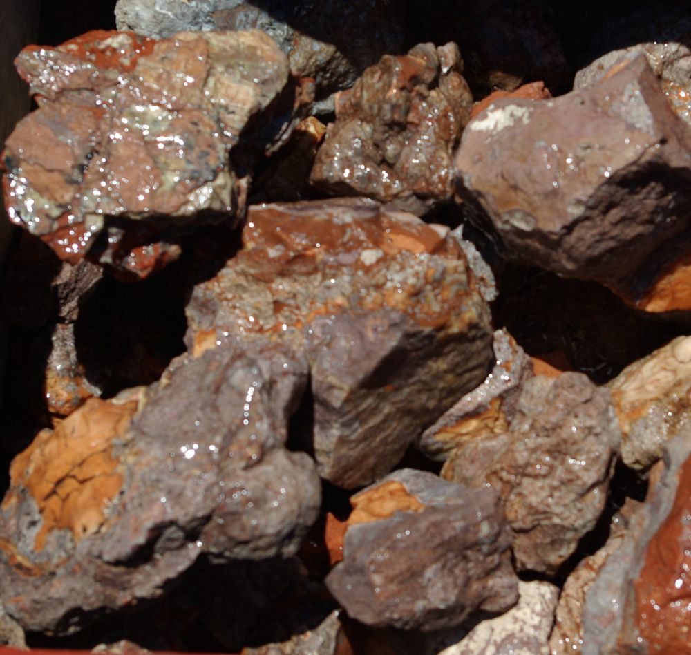 Florida Bruneau Jasper Rough – Trina's Rock Shop