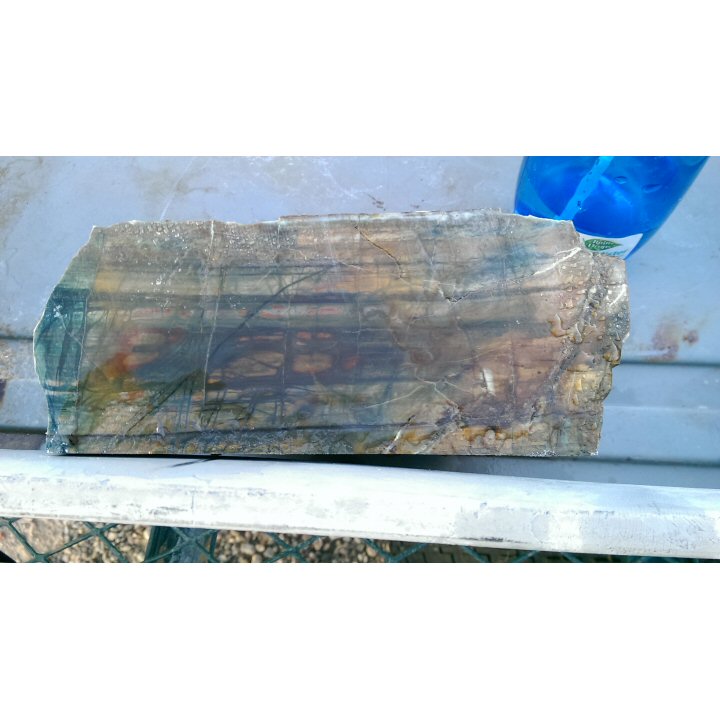New Mexican Picasso Stone – Rough – Trina's Rock Shop
